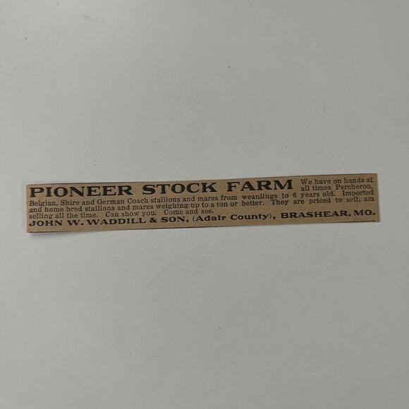 None and/or Unknown | Other | Pioneer Stock Farm John W Waddill Son ...